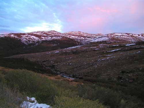 Home [www.illawong.asn.au]